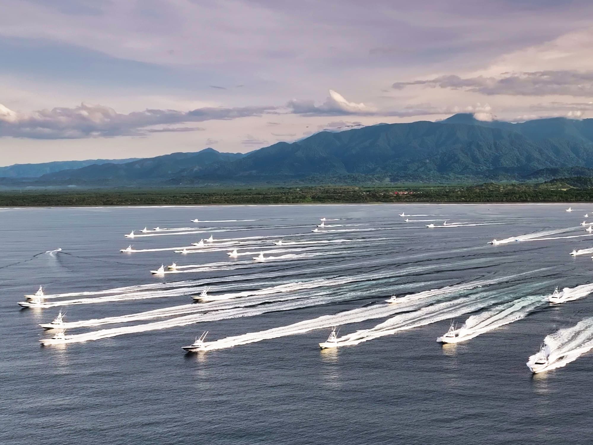 Record Billfish Catch at Pelagic Rockstar - Marina Pez Vela